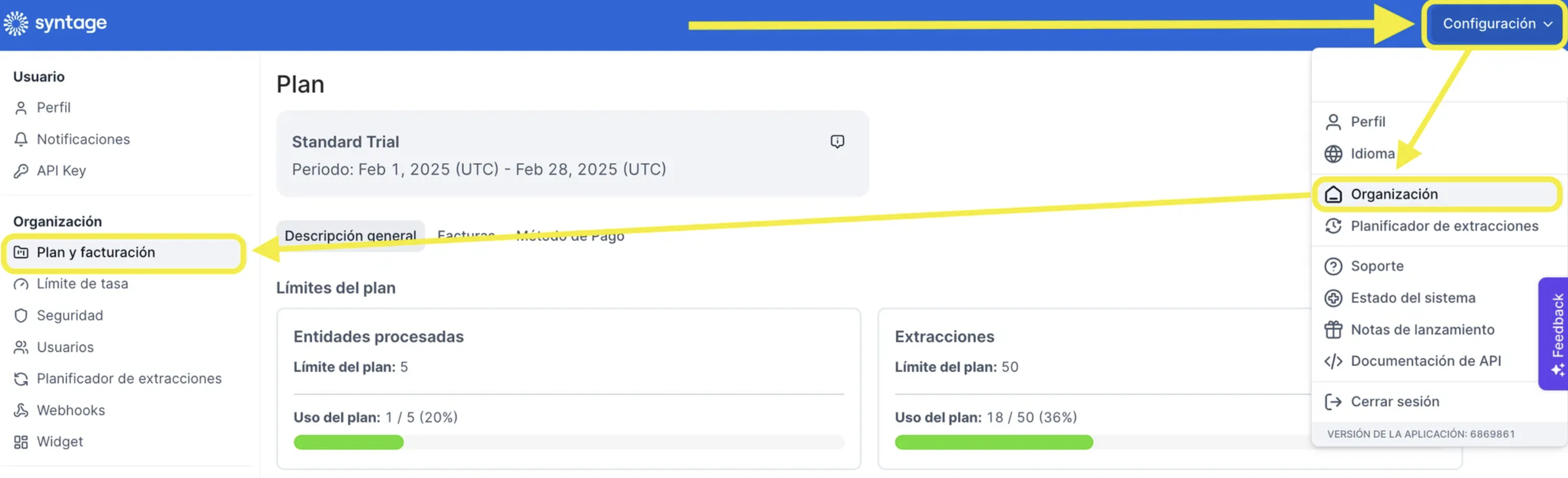 Cómo Puedo Acceder A Las Facturas Que Syntage Me Ha Emitido Centro
